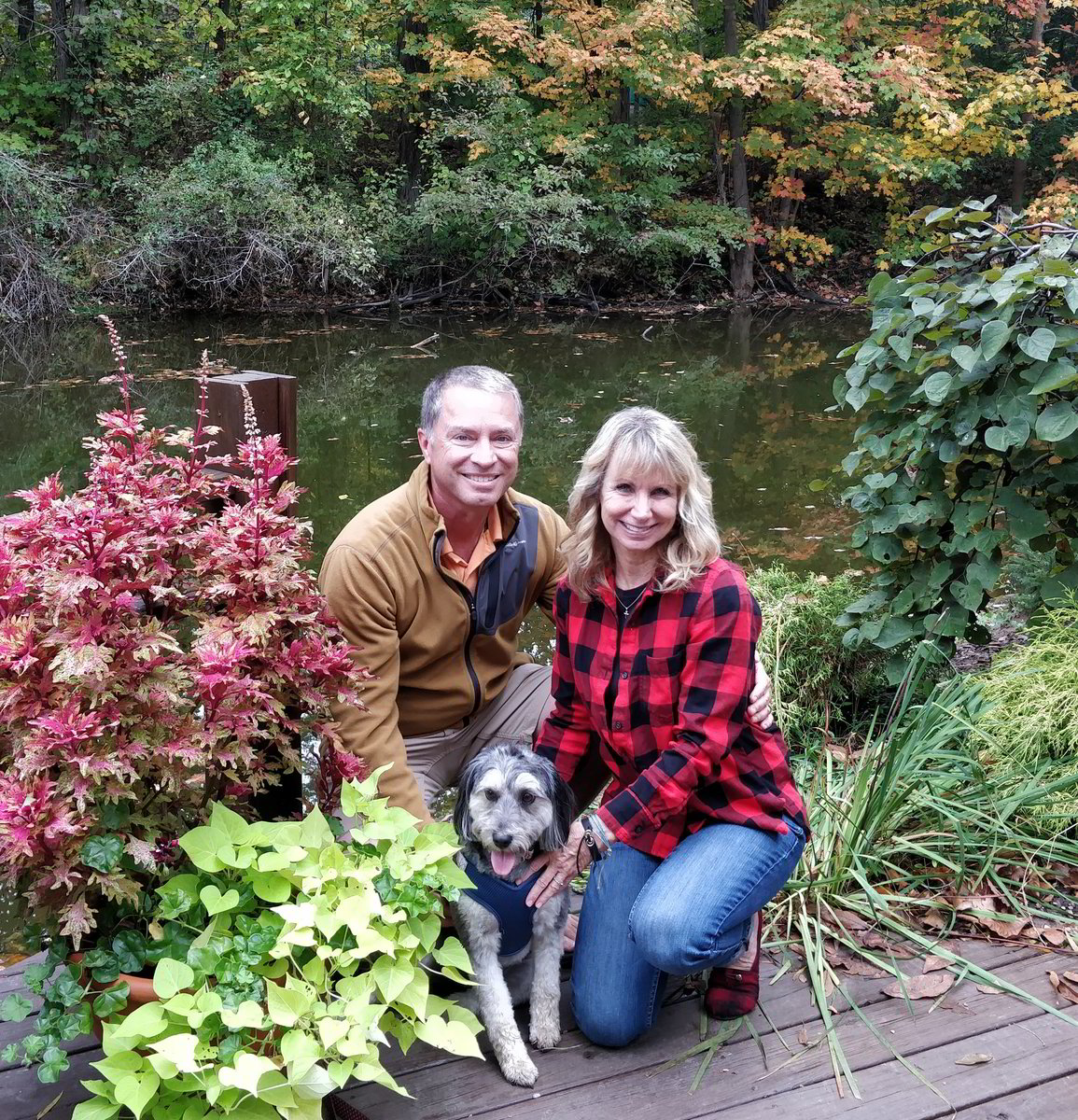 Steve Sanders - MSIS Agents